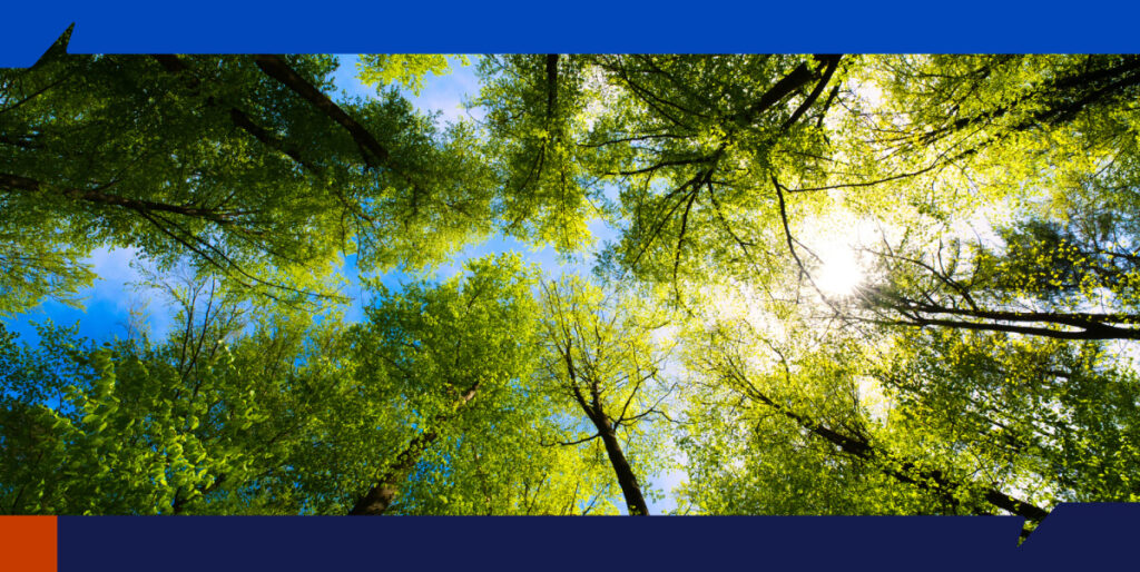 Benefits of FR3® Oil for Transformers | Safe Oil Containment