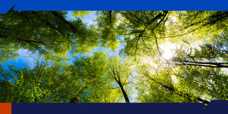 Benefits of FR3® Oil for Transformers | Safe Oil Containment